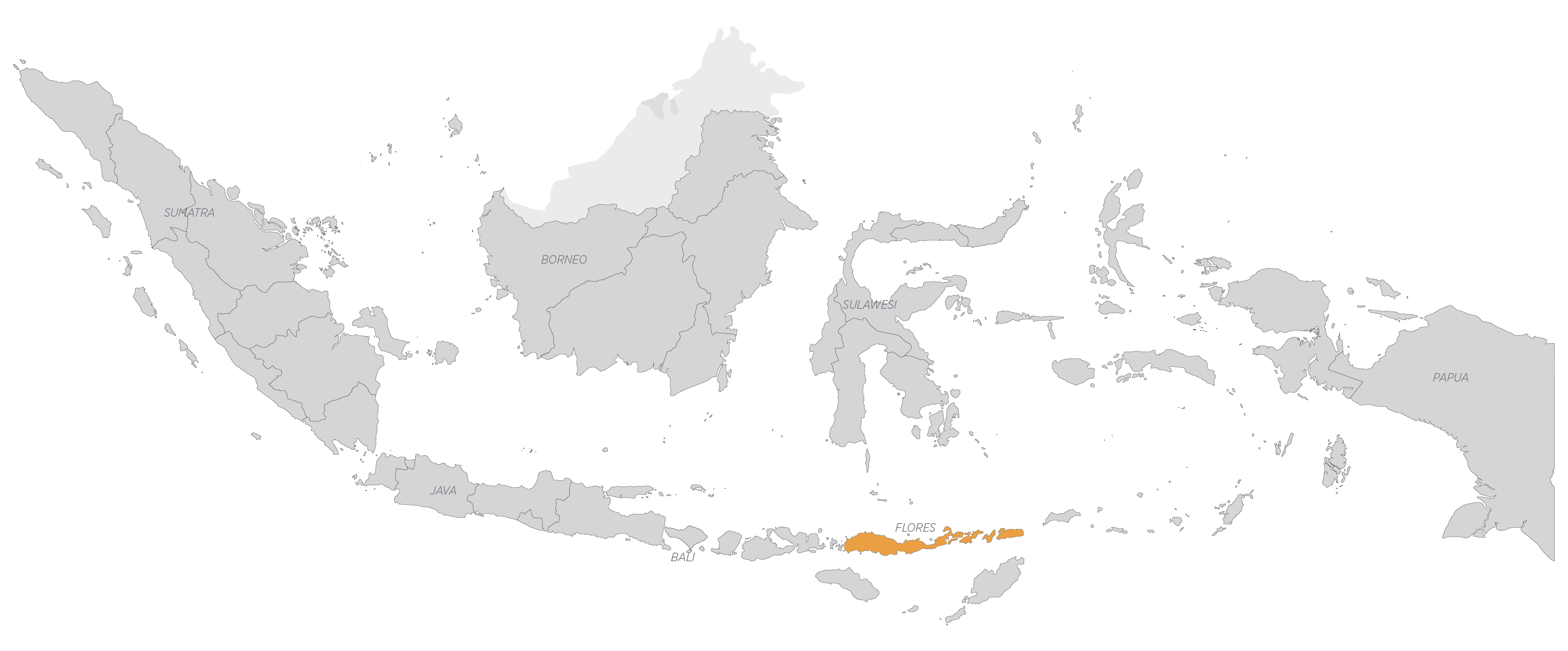 Vanilla | Indonesian Vanilla Bean | Bulk Vanilla Products | Tripper